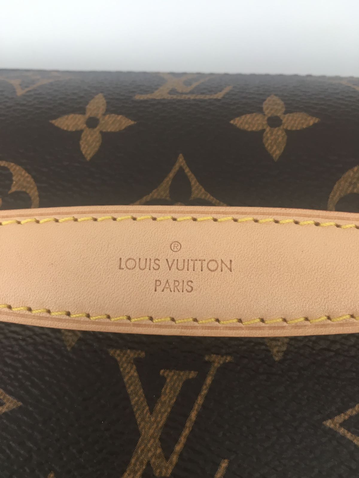 Louis Vuitton | Monogram Bumbag | M43644– TC
